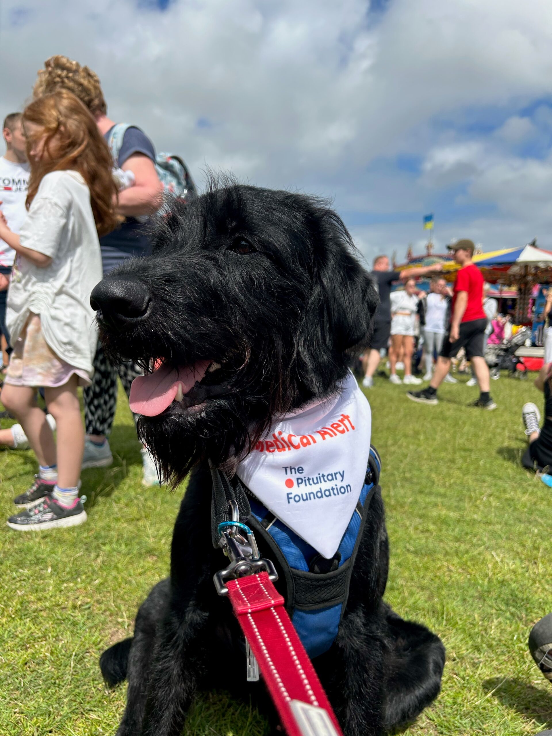 Isobel's Story: Hamish the Helper Dog - Pituitary Foundation